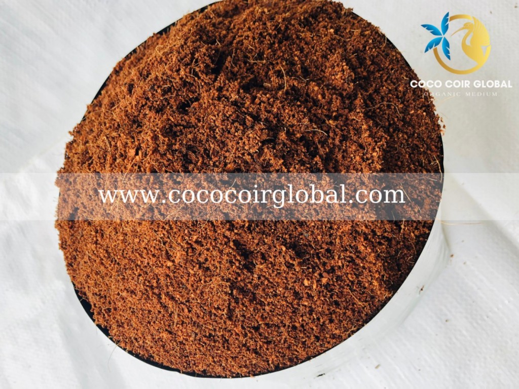 Coco coir benefits and things you need to know - Coco Coir Global