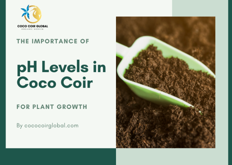 Coco Coir PH: Levels in Coco Coir for Plant Growth