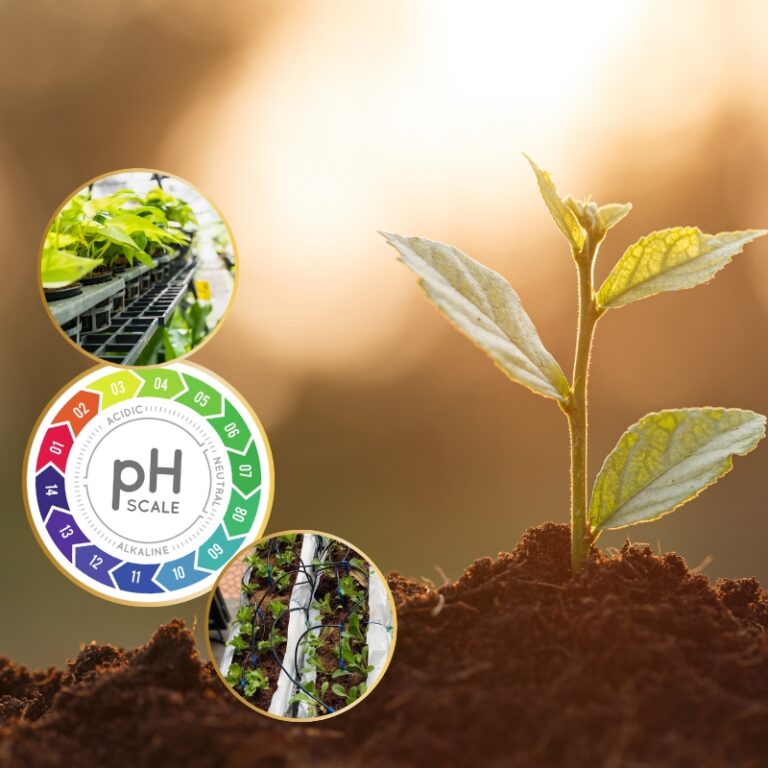 Coco Coir PH: Levels in Coco Coir for Plant Growth