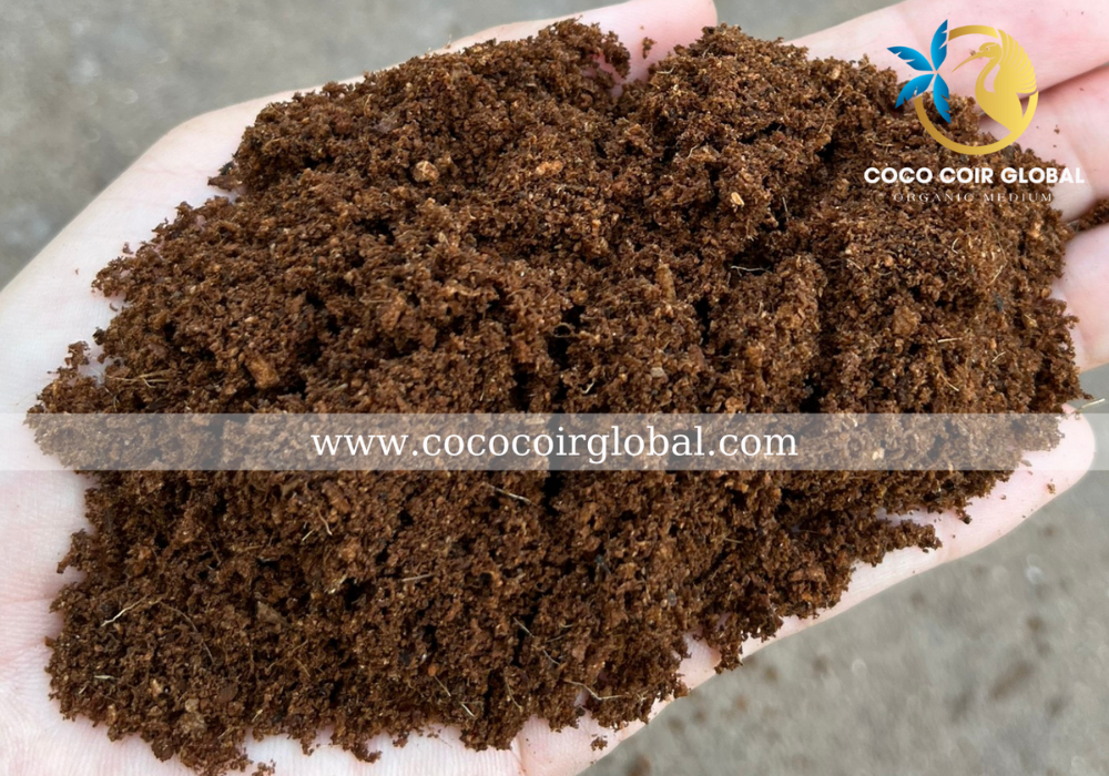 Our Coconut Coir Quality - Coco Coir Global Vietnam