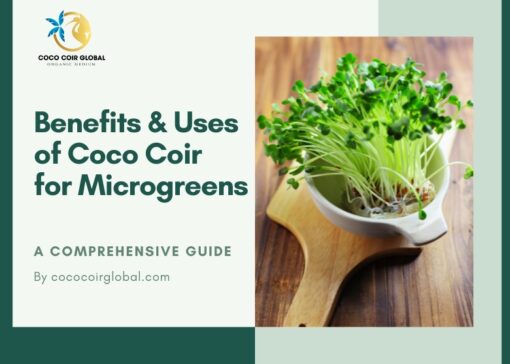 Coco Coir For Microgreens: Growing Mediums for Microgreens