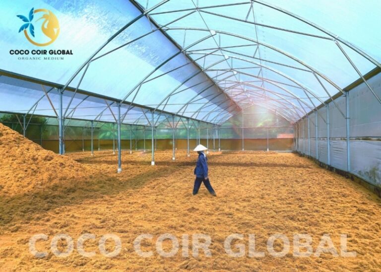 What is Coconut Fiber? A Versatile and Sustainable Soil Substitute