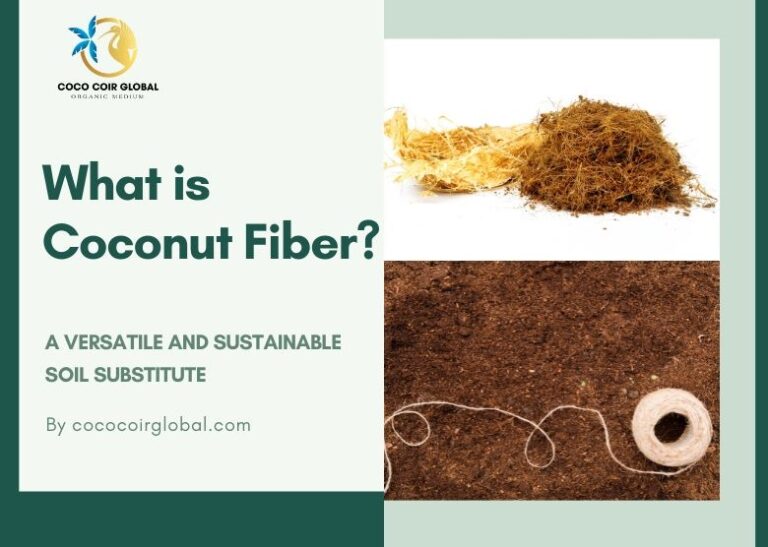 What is Coconut Fiber? A Versatile and Sustainable Soil Substitute