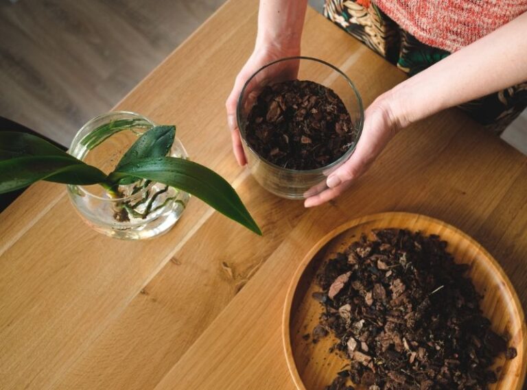 Coco Coir Potting Mix: Composition and Benefits