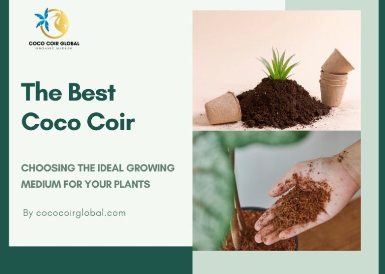 Coco Coir vs. Coco Peat: Differences and Similarities