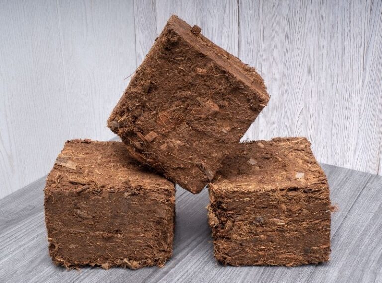 Coco Peat for Plants: Uses and Benefits of Coco Peat