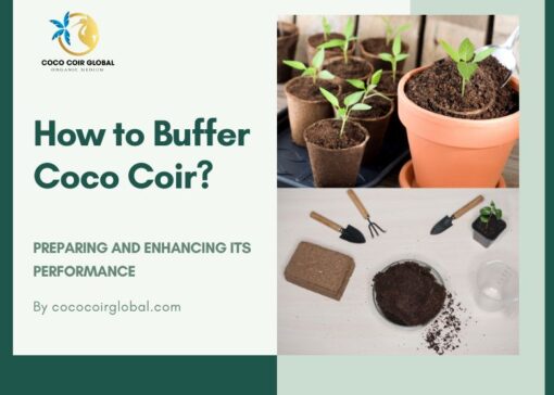 How to Buffer Coco Coir? Guide to Buffering Condensed Coco Coir