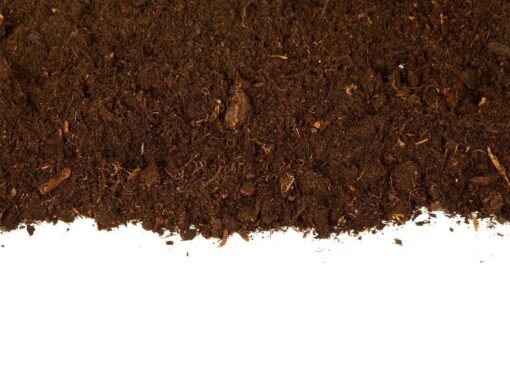 How to Make a Coco Coir Soil Mix and Benefits