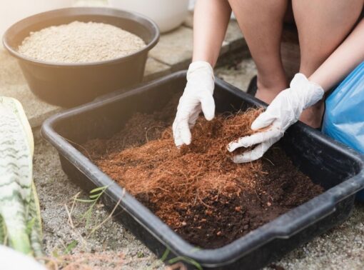 How to Make a Coco Coir Soil Mix and Benefits