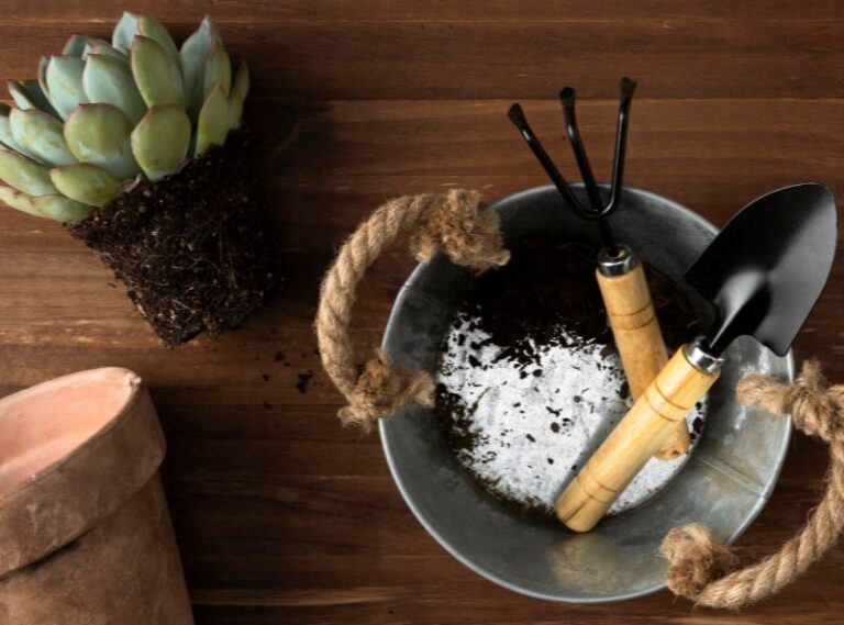Coco Coir Potting Mix: Composition and Benefits