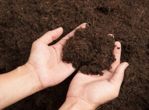 How to Make a Coco Coir Soil Mix and Benefits