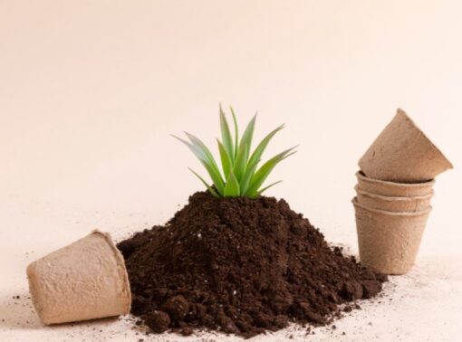 Coco Coir Potting Mix: Composition and Benefits