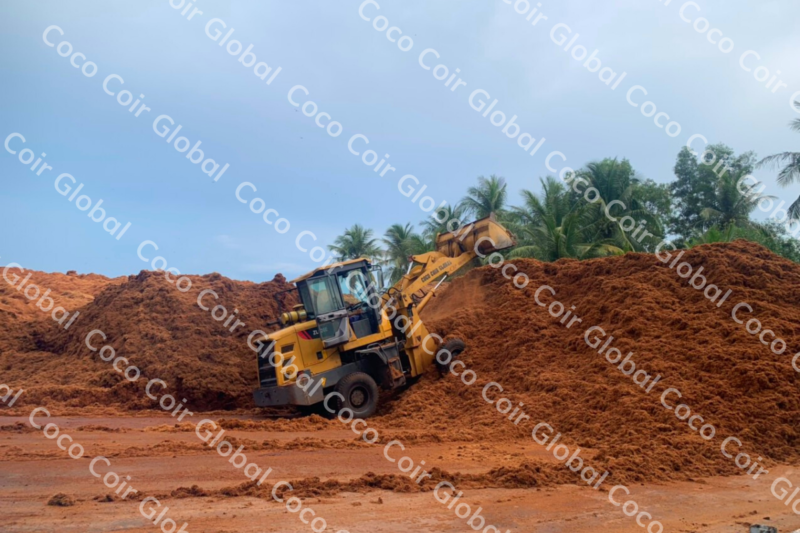 Coco Peat Viet Nam - Coco Peat Coco Coir Global
