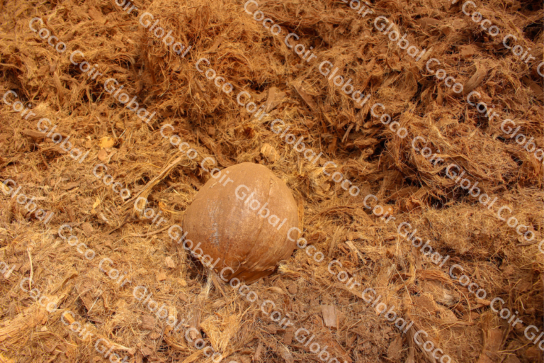 Coconut Husk Chips in Viet Nam Coco Coir Global EXPORT