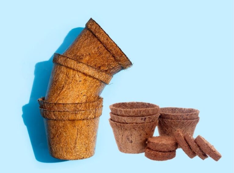 What is Coco Peat? Applications and Benefits of Coco Peat