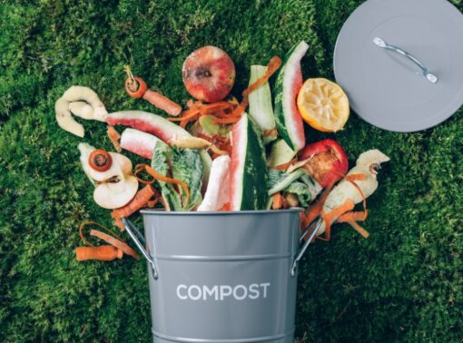 Compost Accelerators: DIY Recipes and Best Practice