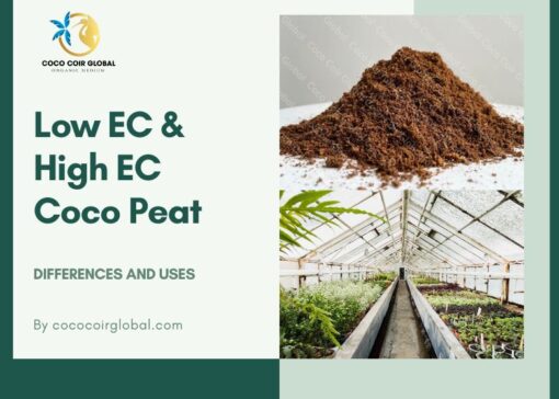 How to Make a Coco Coir Soil Mix and Benefits