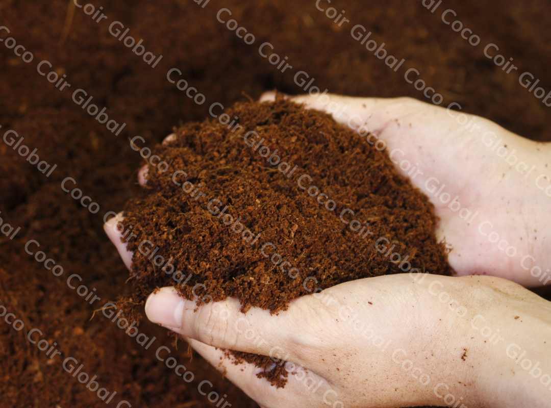 Coco Coir Global’s Manufacturing Process
