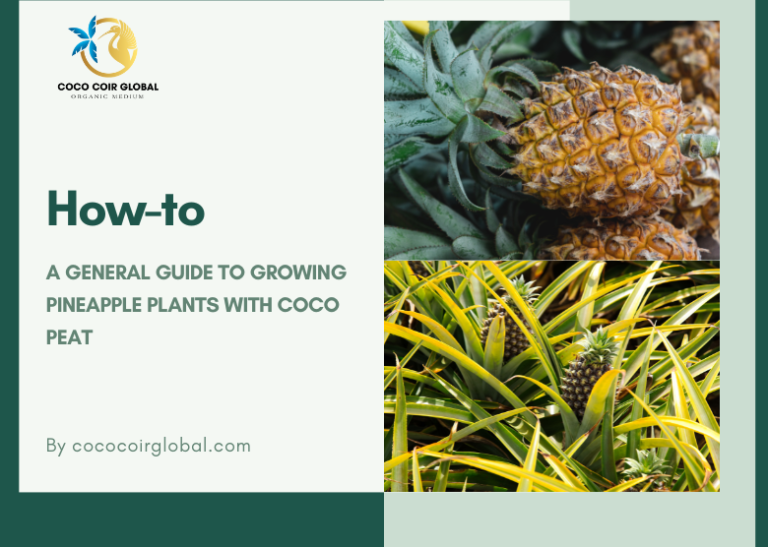 What is Coconut Mulch? Tips Using Coconut Coir as Mulch